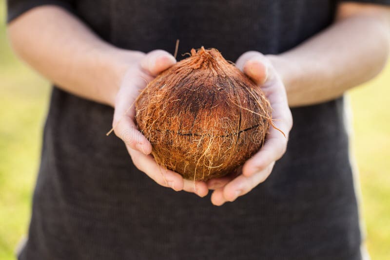 278 Coconut Opening Stock Photos - Free & Royalty-Free Stock Photos ...