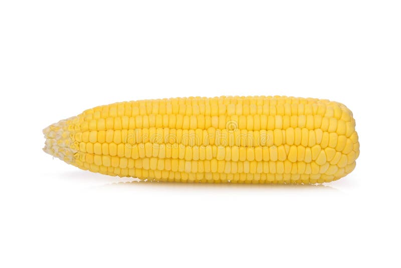 Single Raw Corn Isolated on White Stock Photo - Image of single, maize ...