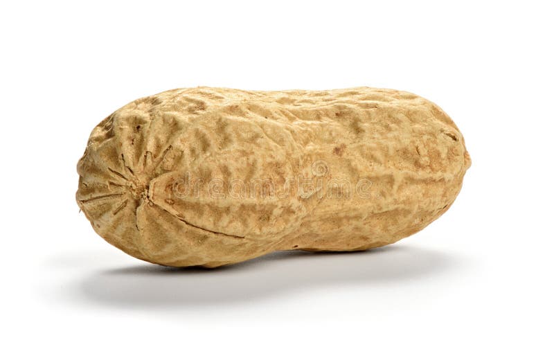 Groundnut-Isolated stock image. Image of nutritional - 17262147