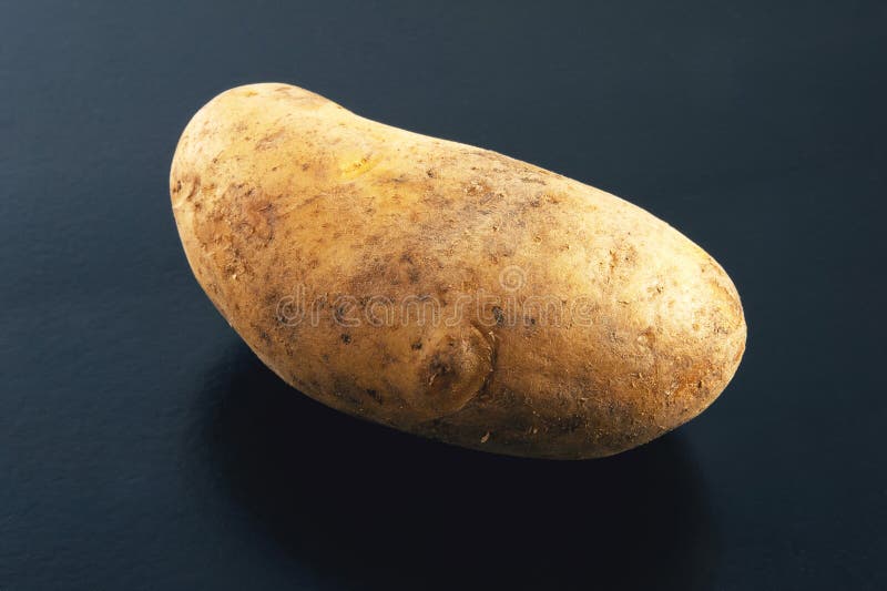 Single potato in peel stock photo. Image of carbohydrate - 11738166