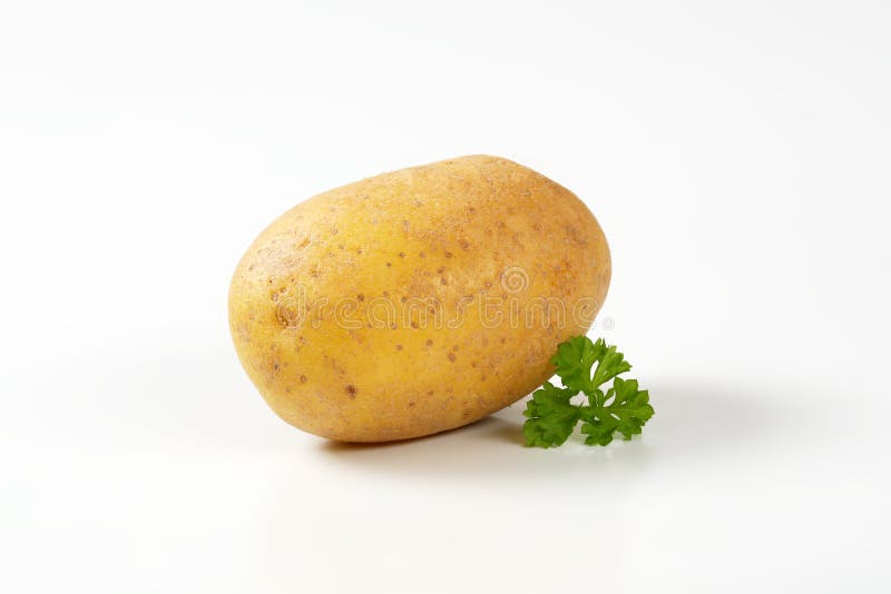 Single potato in peel stock photo. Image of carbohydrate - 11738166