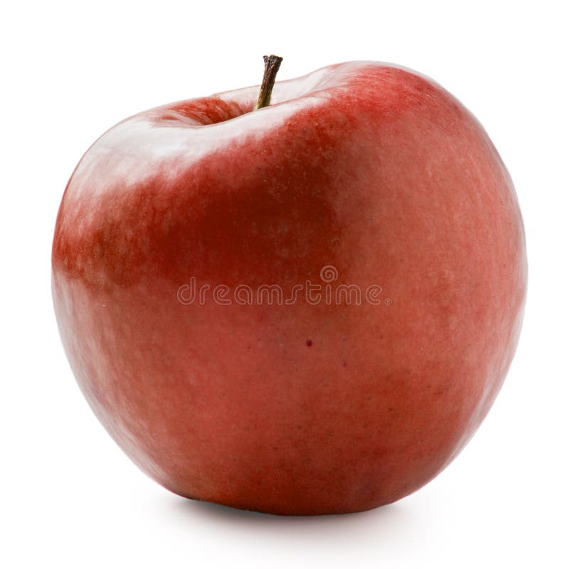 Single Red Apple with Ribbon Bow Stock Image - Image of apple, stem ...