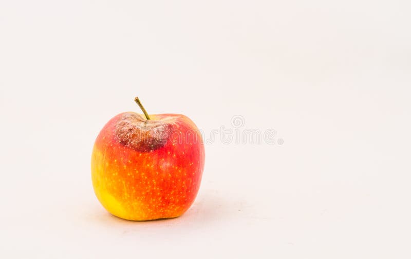 1,158 Rotten Spot Photos - Free & Royalty-Free Stock Photos from Dreamstime