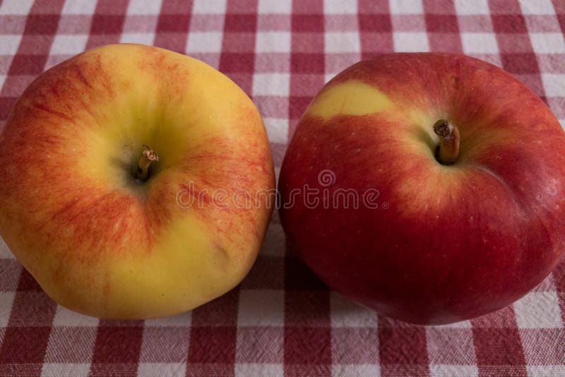 Single Red Apple on a Table Stock Photo - Image of nutrition, healthy ...