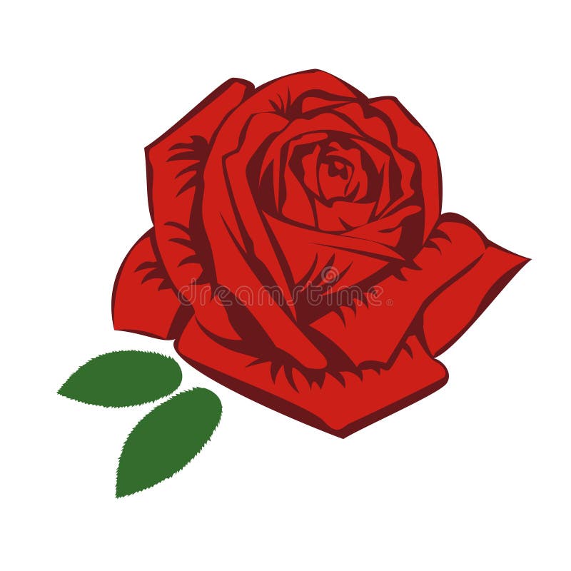 Rose Roots Stock Illustrations – 121 Rose Roots Stock Illustrations ...