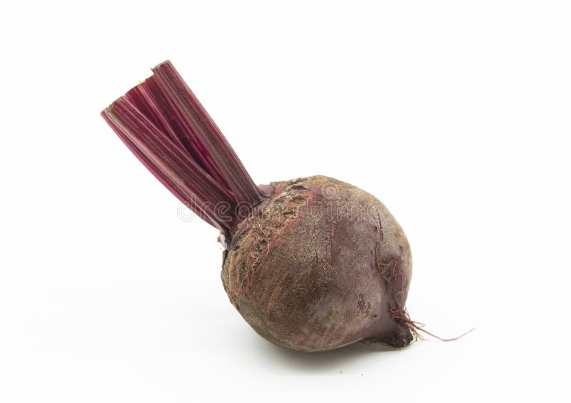 Single Red Beets or Beetroots on White Background Stock Photo - Image ...