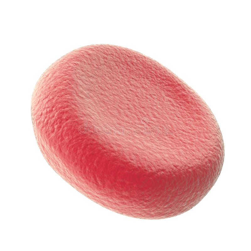Single Red Blood Cell Isolated on White Background. 3d Illustration ...