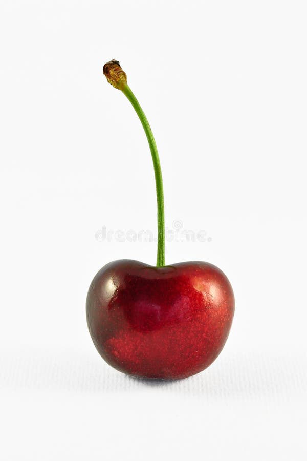 Single red cherry stock photo. Image of studio, fresh - 31642358