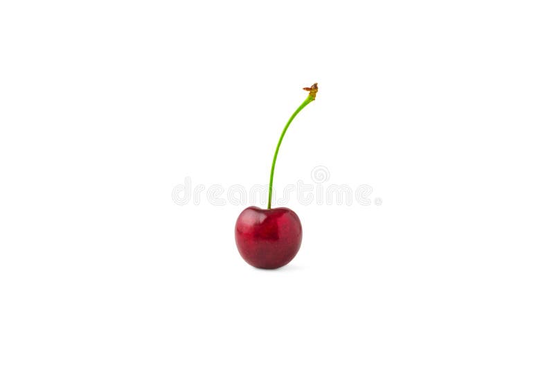 Single Red Cherry Isolated on White Background Stock Image - Image of ...