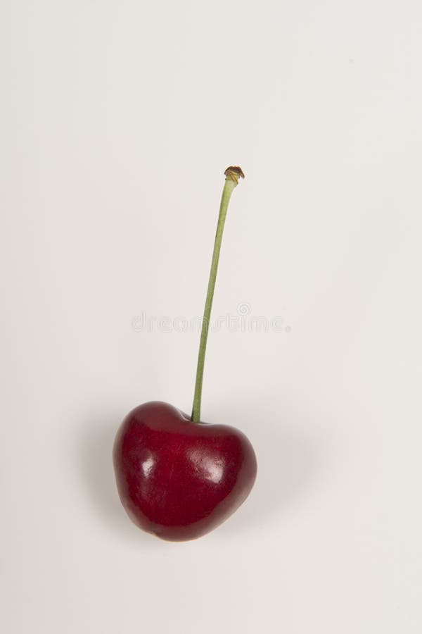 Single Red Cherry with Stem on a White Background in a Vertical Image ...