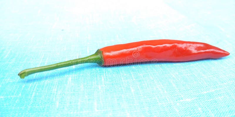 Red chilli stock photo. Image of chilli, ingredient - 100204576