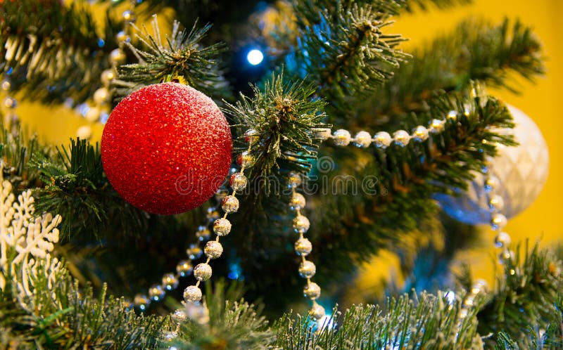 Single Red Christmas Ball Hanging on Tree, As the Substrate and ...