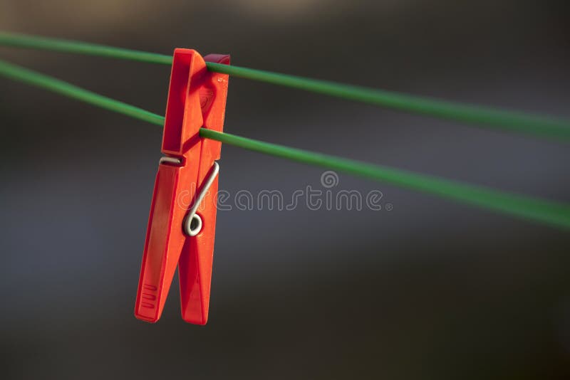 Single red clothes peg. stock photo. Image of closeup - 40731106