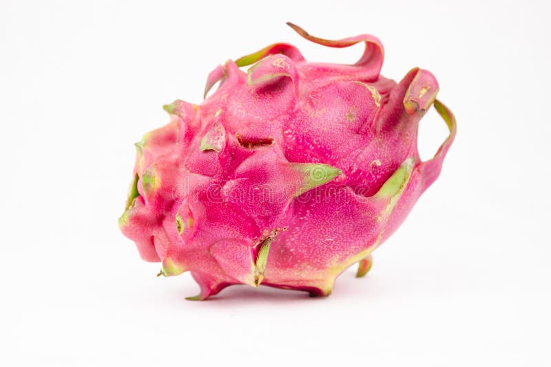 Single Red dragon fruit stock photo. Image of background - 177283914
