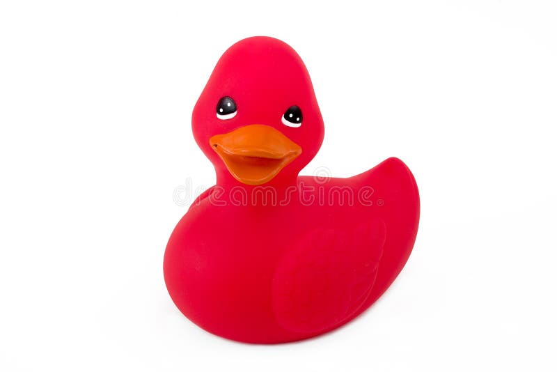 Single Red Duck Isolated on White Stock Photo - Image of clipping, path ...