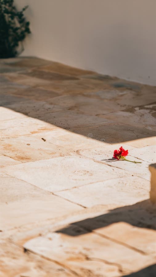 A Single Red Flower Sitting on a Stone Floor Next To Steps, AI Stock ...