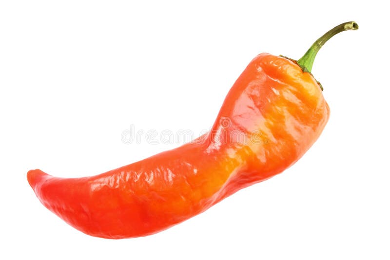 Single Red Hot Chilli Pepper Isolated on White Stock Photo - Image of ...