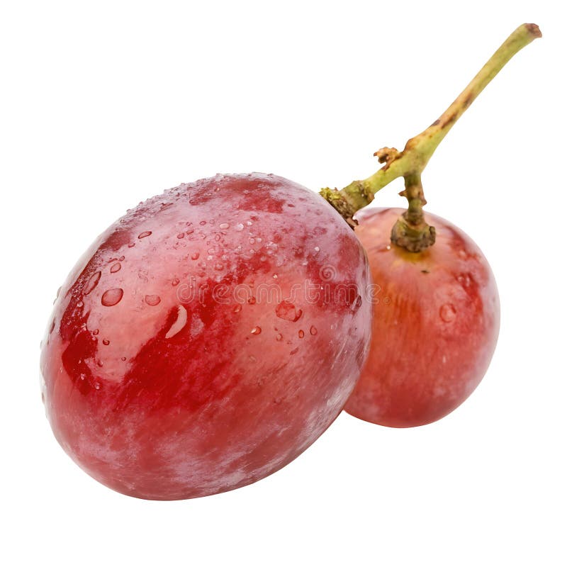 A Single Red Grape Isolated on White Background Stock Image - Image of ...