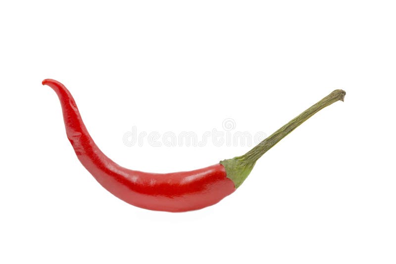 Red chili isolated stock image. Image of fire, green - 31214793