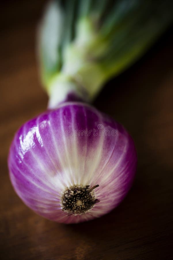 Single red onion stock image. Image of abundance, eating - 55048635
