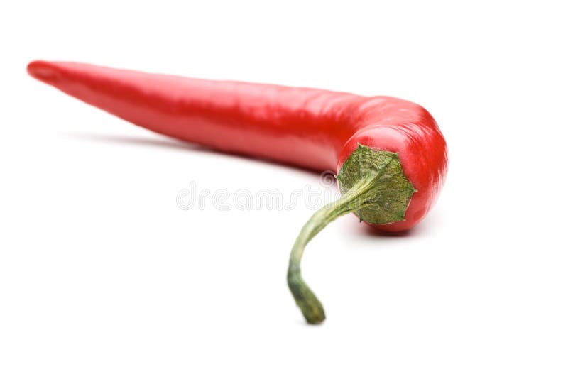 Single Red Chili Pepper Field Green Peppers Colors Organic Stock Photos ...