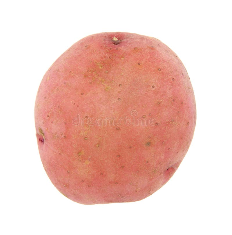 Single red potato stock image. Image of uncooked, starch - 9932713