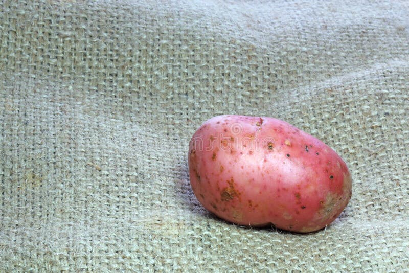 Hessian Backing Stock Photos - Free & Royalty-Free Stock Photos from ...