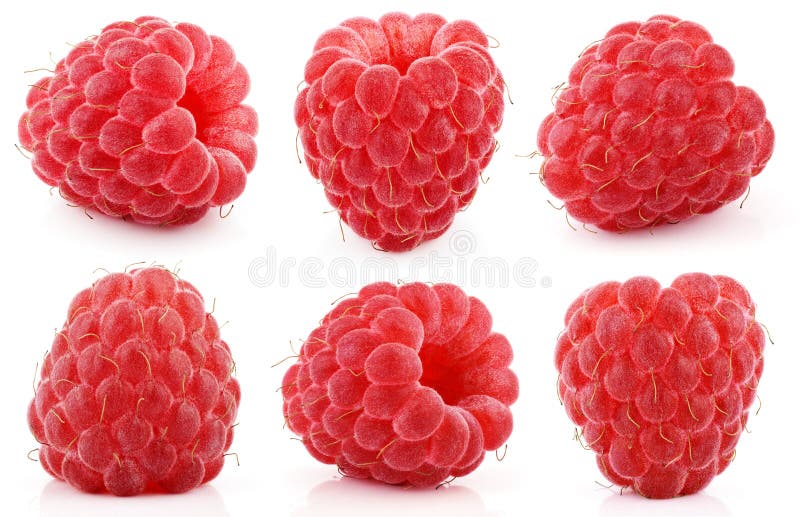 Single Raspberry Fruit with Green Leaves Isolated on White Stock Photo ...