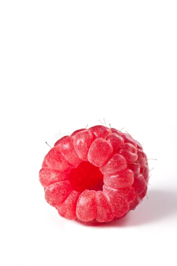 Single Red Raspberry Isolated Over White Stock Image - Image of fruity ...