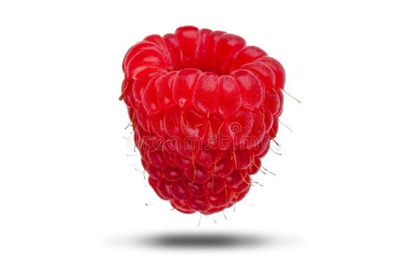 Single Red Raspberry Isolated on White Macro Stock Photo - Image of ...