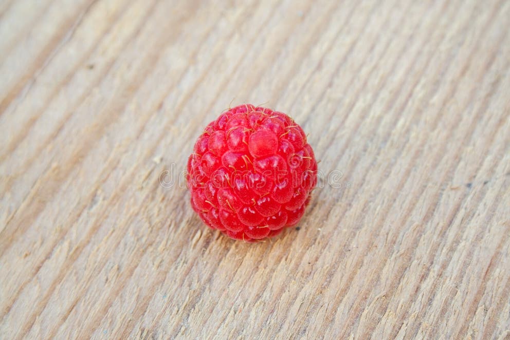Single raspberry on wood stock image. Image of focus - 122297089
