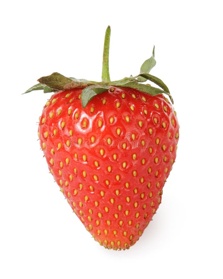 Single red ripe strawberry stock photo. Image of healthy - 31881236