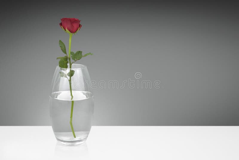 Single Red Rose in a Glass Vase Stock Photo - Image of romantic, single ...