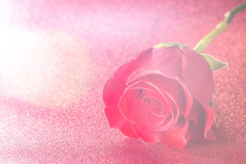 Single Red Rose on a Red Glitter Table Stock Photo - Image of table ...