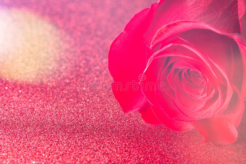Single Red Rose on a Red Glitter Table Stock Image - Image of love ...