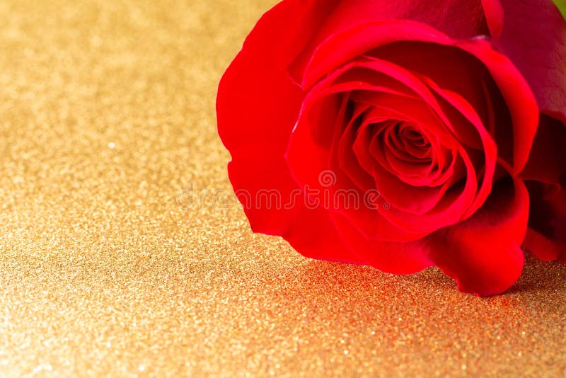 Single Red Rose on a Golden Table Stock Image - Image of card, glitter ...