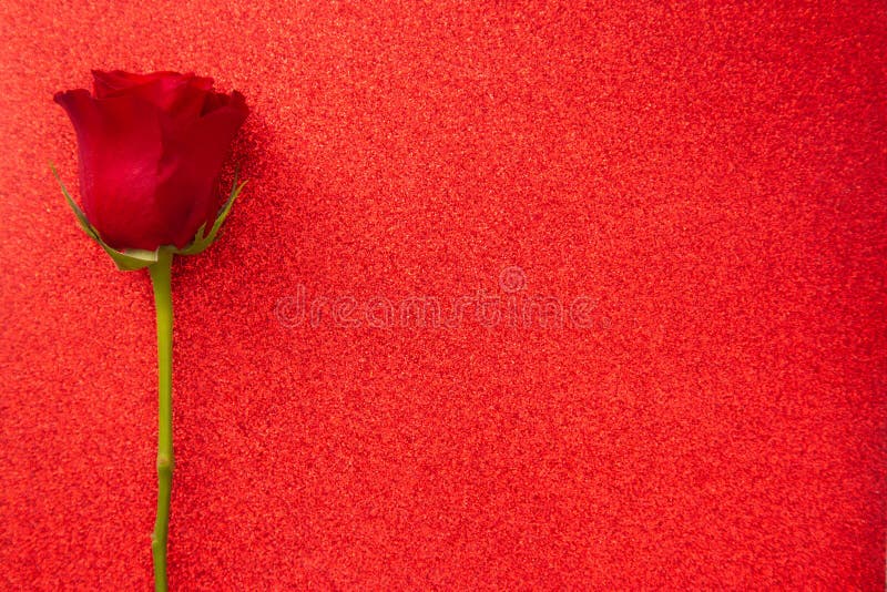 Single Red Rose on a Red Table Stock Image - Image of long, blank ...