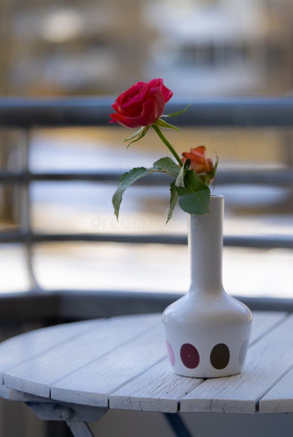 A Single Red Rose in a Vase on the Table Stock Photo - Image of leaf ...