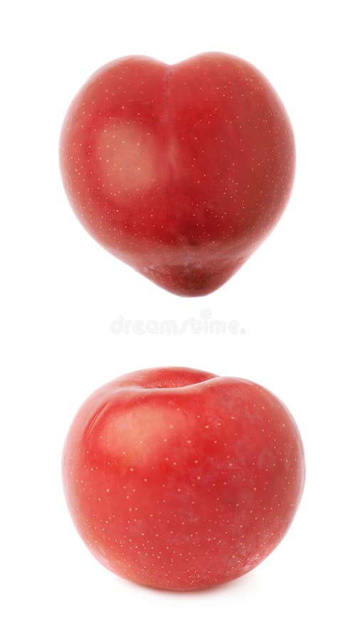 Single Red Victoria Plum Isolated Stock Image - Image of closeup ...