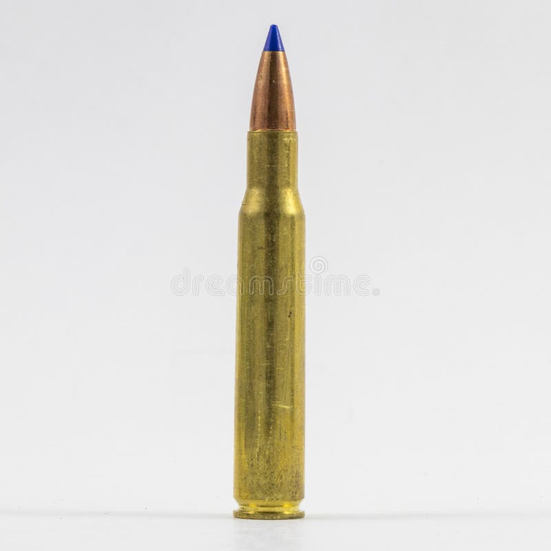 M16 Rifle with 20-round Magazine Vietnam War Period Stock Photo - Image ...