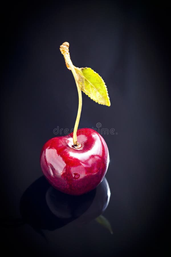 Single ripe cherry berry stock photo. Image of black - 73307810