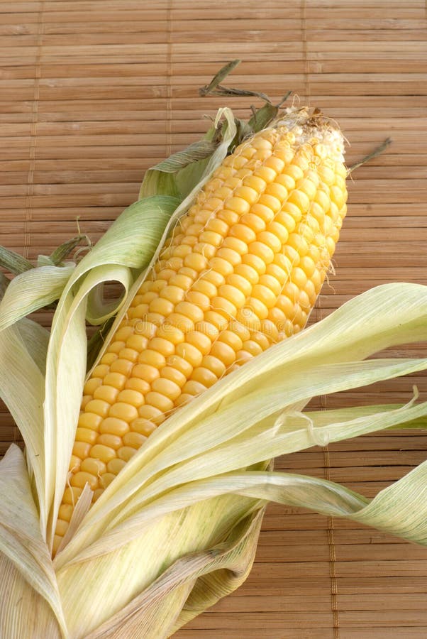 Single Ripe Corn Cob on Staw Mat Stock Image - Image of serviette ...