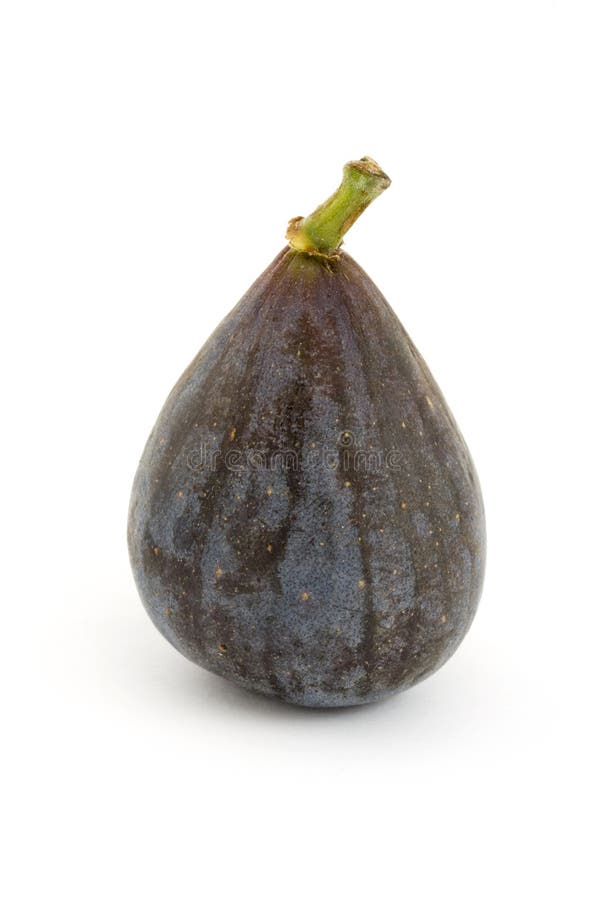 Single ripe fig over white stock photo. Image of healthy - 18941662