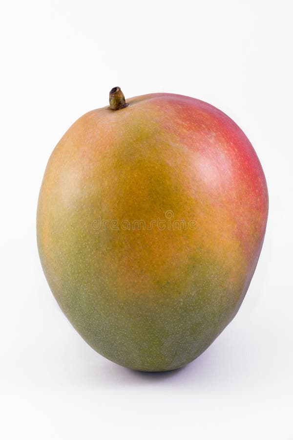 Single ripe mango stock photo. Image of mango, appetizing - 14295238