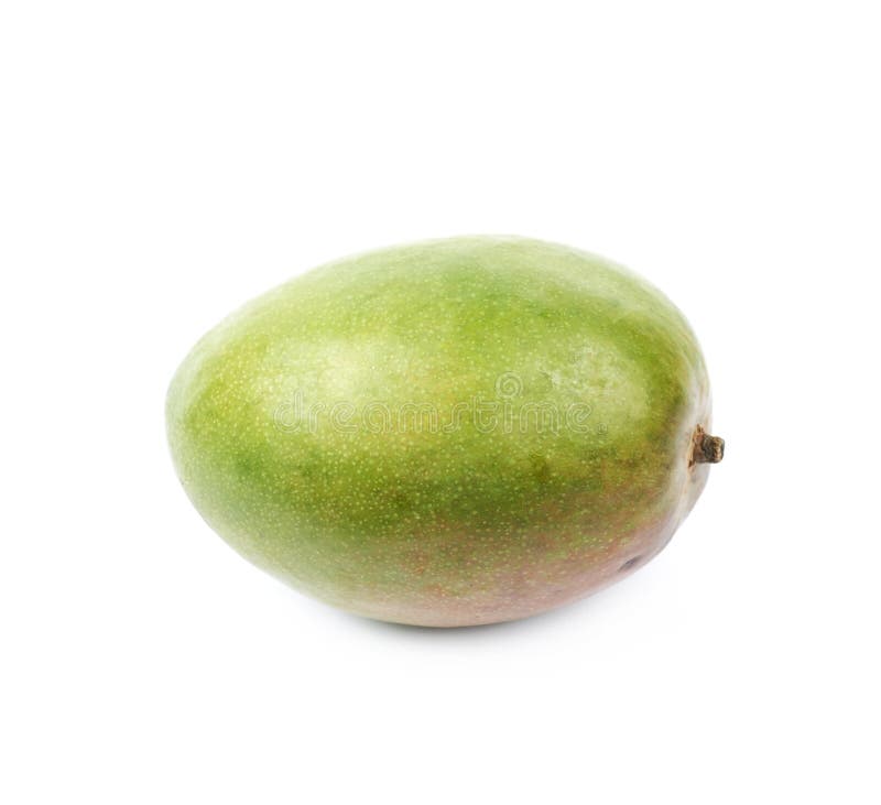 Single Mango Fruit Isolated Stock Photo - Image of full, breakfast ... Single Mango Fruit Isolated Stock Photo - Image of full, breakfast ...