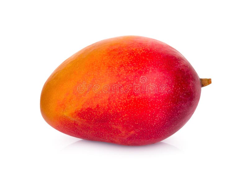 Single Fruits Pictures Mango