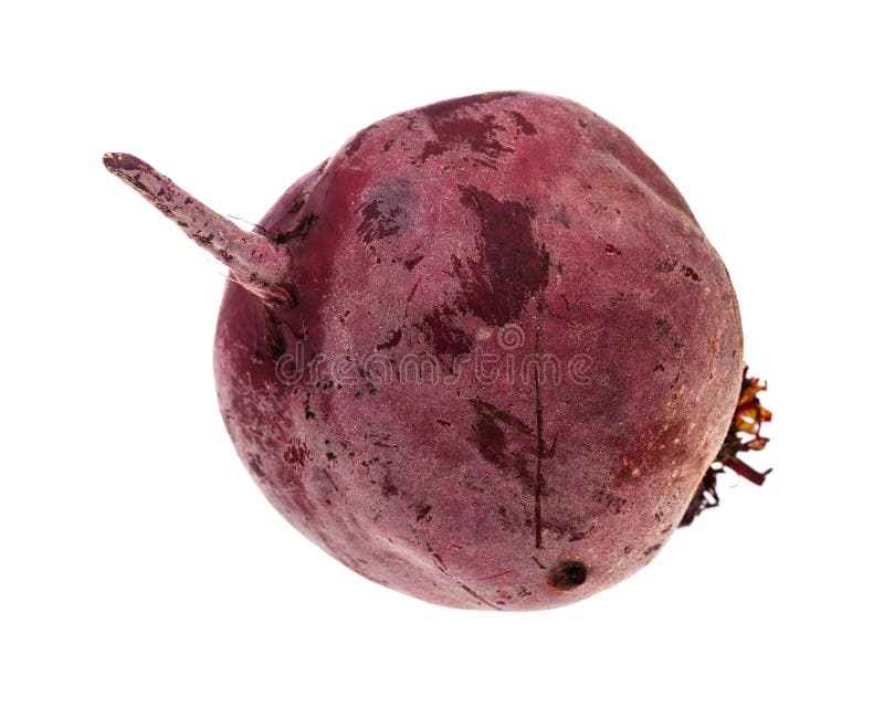 Table in Garden Near Country House in Evening Stock Photo - Image of ...