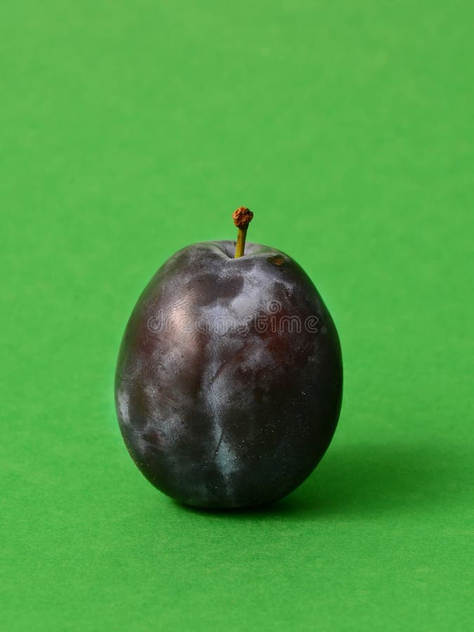 Plum stock photo. Image of nutrition, fruit, juice, produce - 1125794