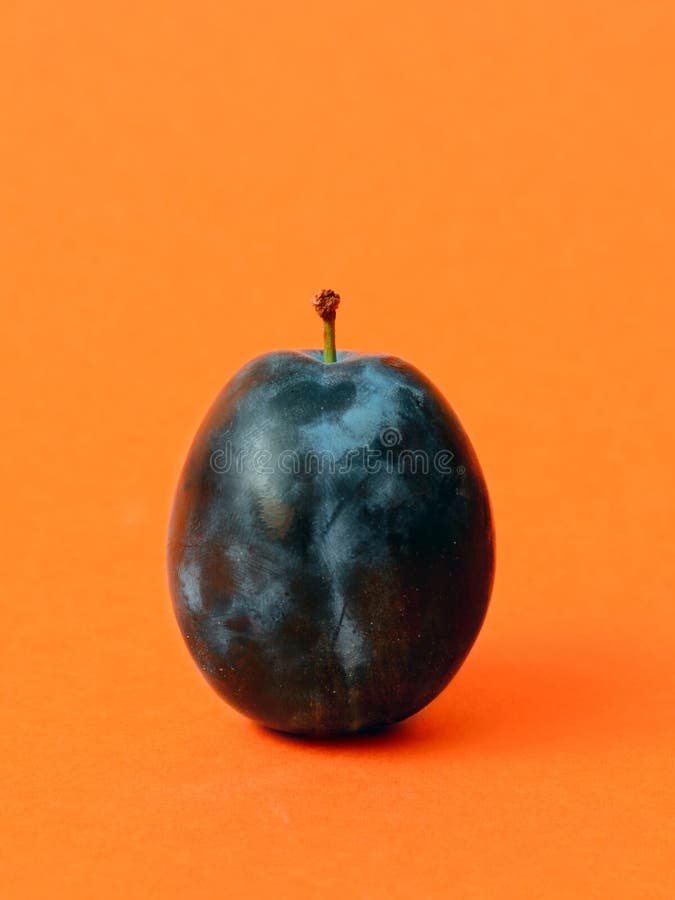 Plum stock photo. Image of nutrition, fruit, juice, produce - 1125794