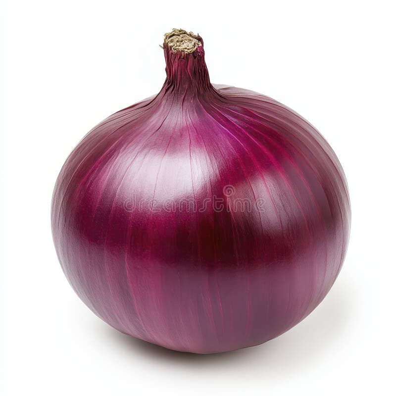 Single Ripe Red Onion Isolated on White Background Stock Illustration ...